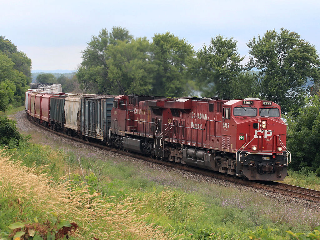 CP 8955